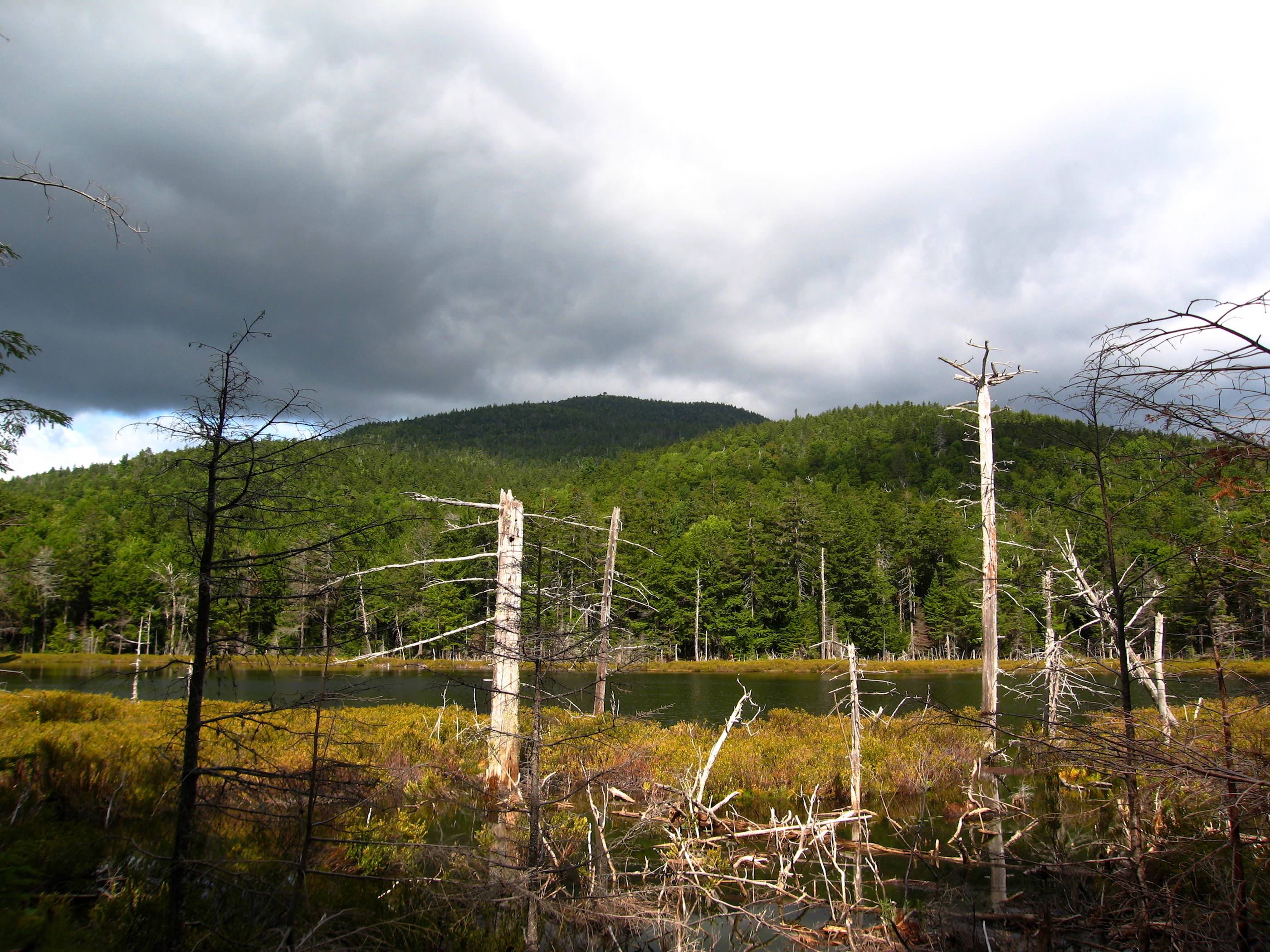 Cold River Camp: A Gem in the White Mountains | Shoulder Season
